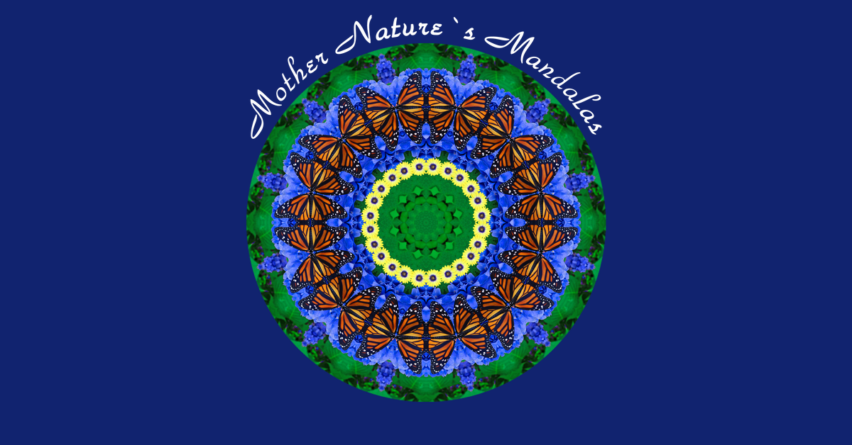 Mandala Nature Art T-Shirts, Hoodie, Tote Bags, Wall Art,